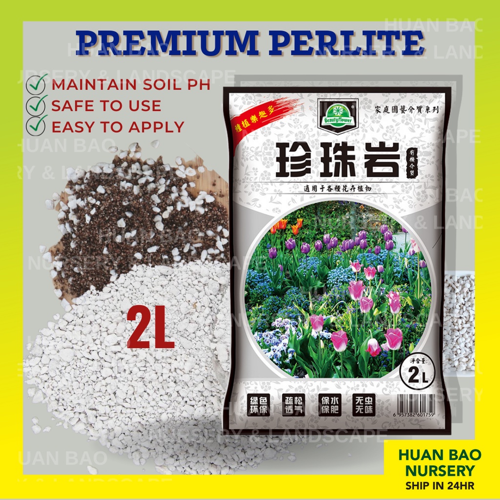 Perlite 2L/4L/6L Planting Soil 3-6mm For Cactus & Succulents Natural ...