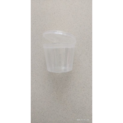 Bekas plastik saiz 2 | Shopee Malaysia