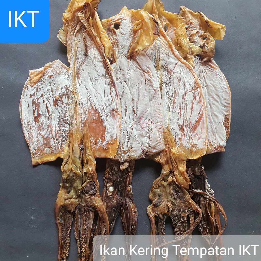 Sotong Kering Besar (500g)/ Large Dried Squid (500g) | Shopee Malaysia