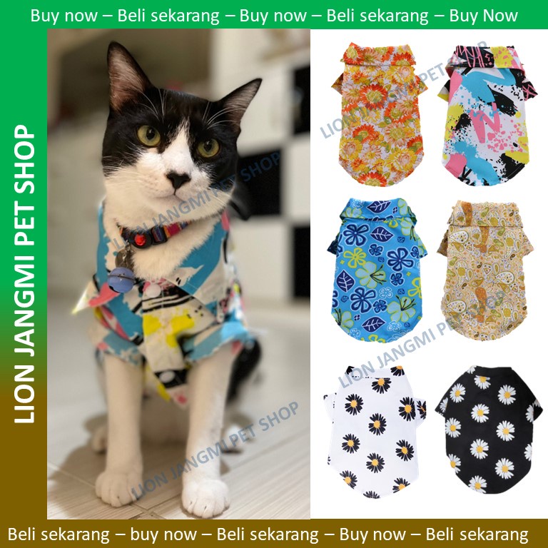 Adam Daisy - Baju Raya Kucing Betina Jantan, Cat Dog Clothes Dress Shirt 狗狗猫衣服 Pet Puppy ...