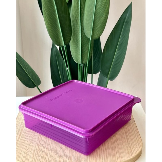 TUPPERWARE BRAND SNACK STOR (1) 2.9L | Shopee Malaysia
