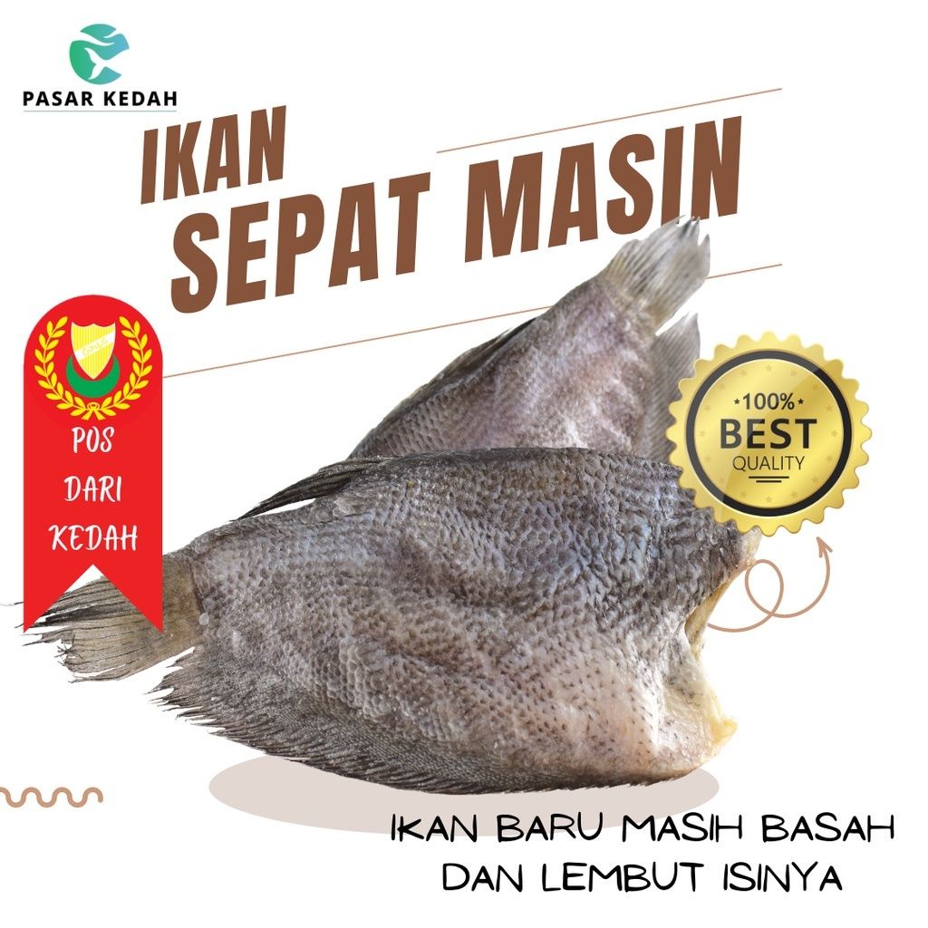 Pasar Kedah Ikan Masin Sepat Rawa BASAH Tanjung Dawai (saiz M & L ...
