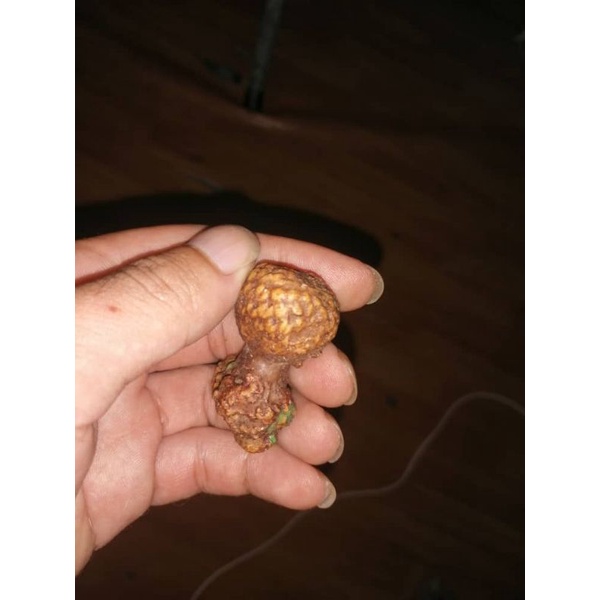 BATU MARAM DAYAK SARAWAK (ORIGINAL) | Shopee Malaysia