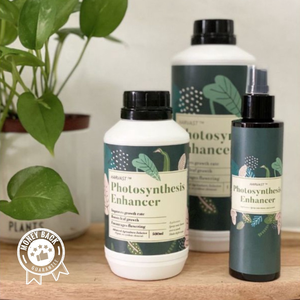 Harvast Photosynthesis Enhancer | Shopee Malaysia