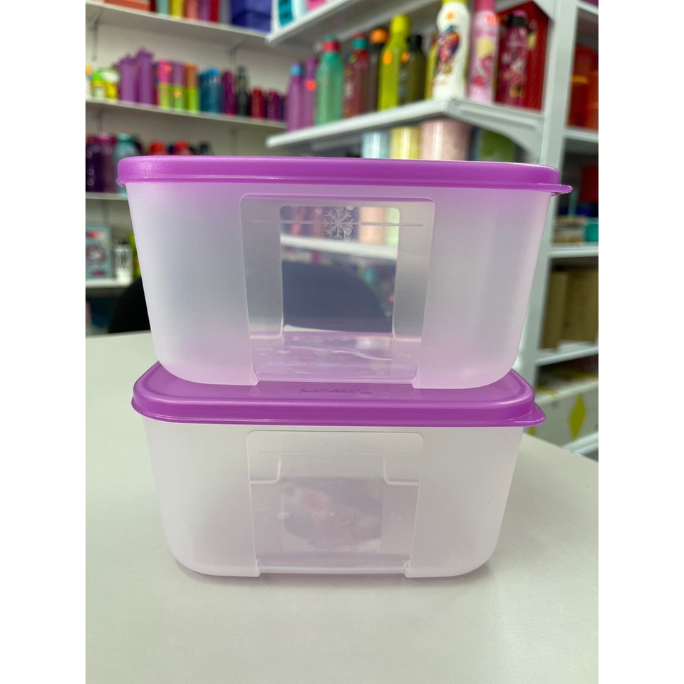 Tupperware 650ml (2)Freezermate Freezermates Chill Freez | Shopee Malaysia