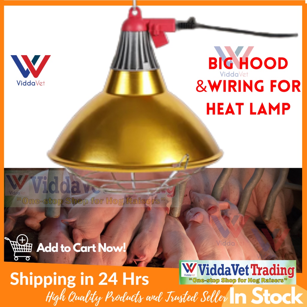 Big Golden Hood and Wiring for chicken Brooder Lamp Big Golden heat ...