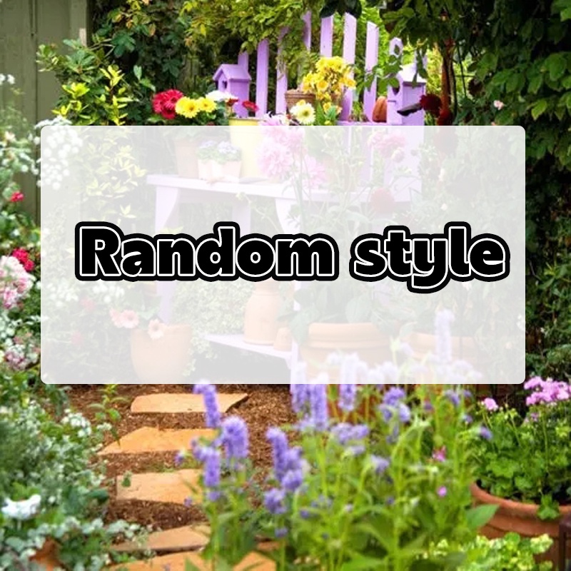 Lemon Tree Seeds for Planting 10 seeds/pack, Easy To Grow In Malaysia - Dwarf Lemon Tree Plant ...