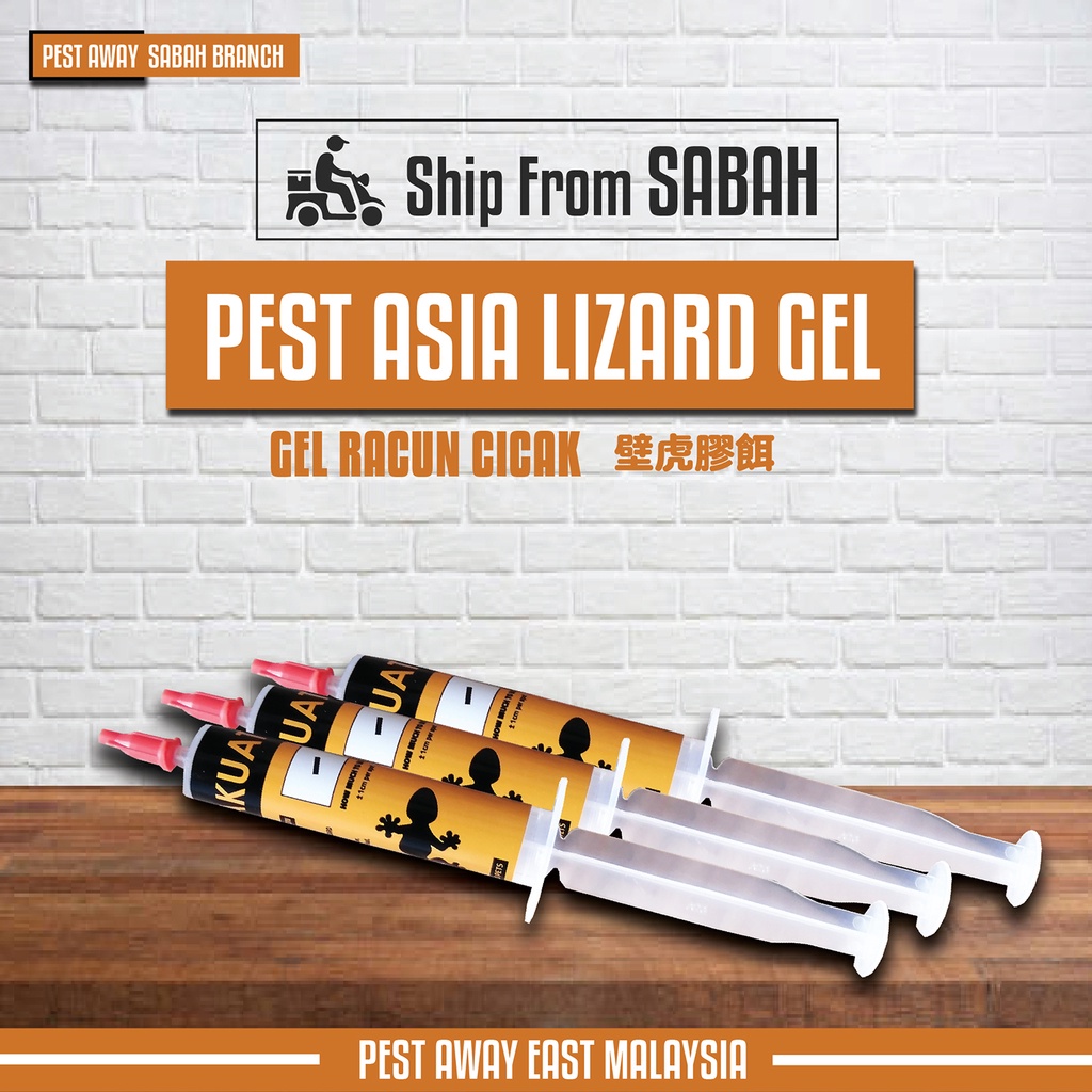 Racun Cicak Umpan Gel Gecko / Cicakuat Lizard Killing Gel 10g 杀壁虎胶饵 ...