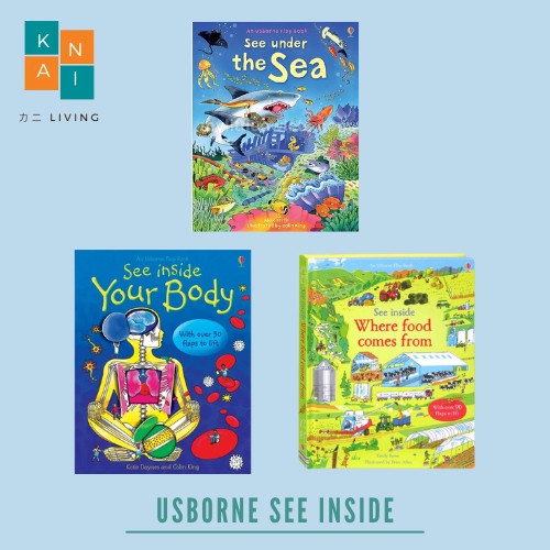 Usborne Flap Book See Inside Children's Education Book Children's ...
