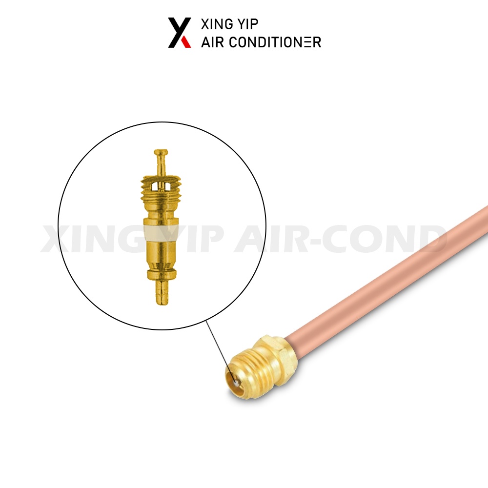 Schrader Valve core / Accees Valve Core / Valve Pin For Refrigerator ...