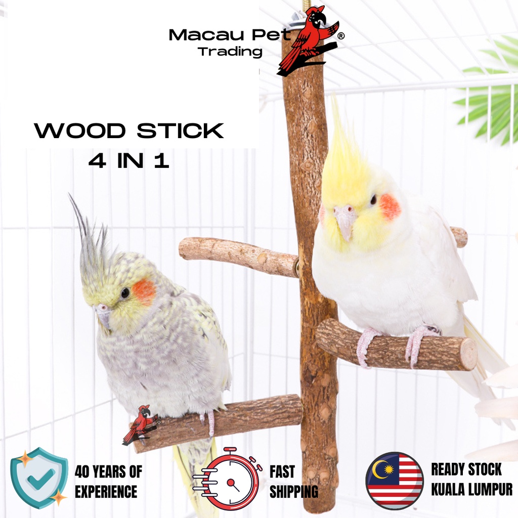 MPT Parrot Toys Set Mainan Burung Mainan Sangkar Mainan Sugar Glider ...