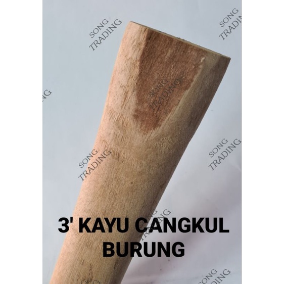 KAYU CANGKUL,PENGGALI,SKUP LONG KANG,CANGKUL BURUNG/JENIS JENIS KAYU ...