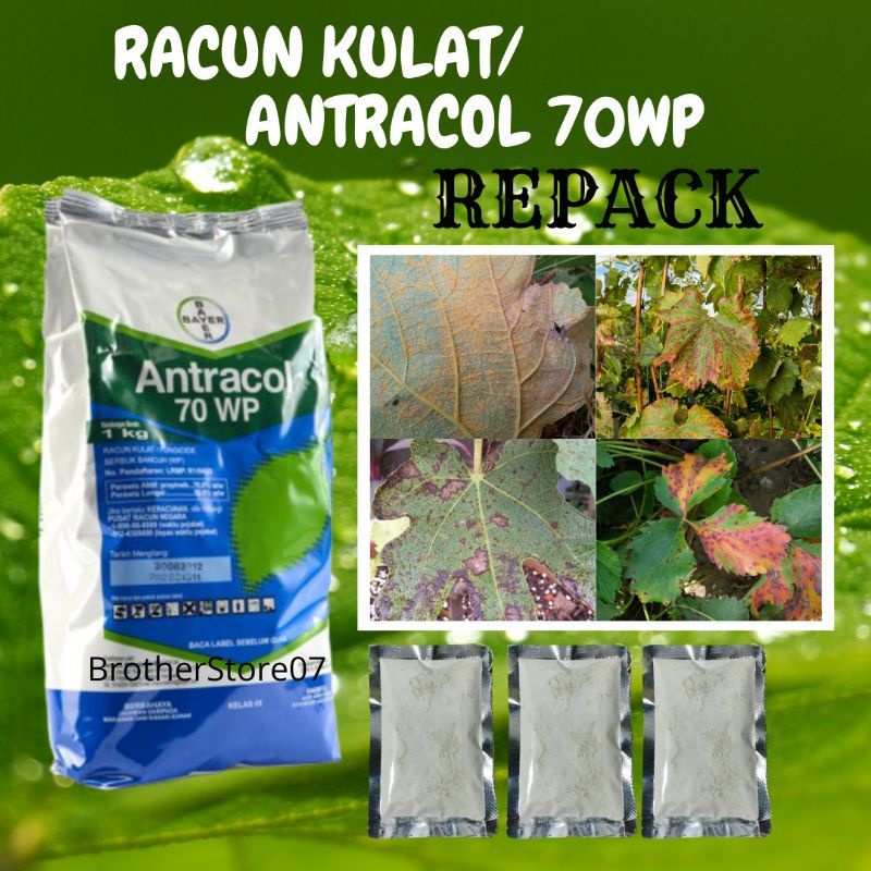 ANTRACOL 70WP / PENJAGAAN TANAMAN | Shopee Malaysia