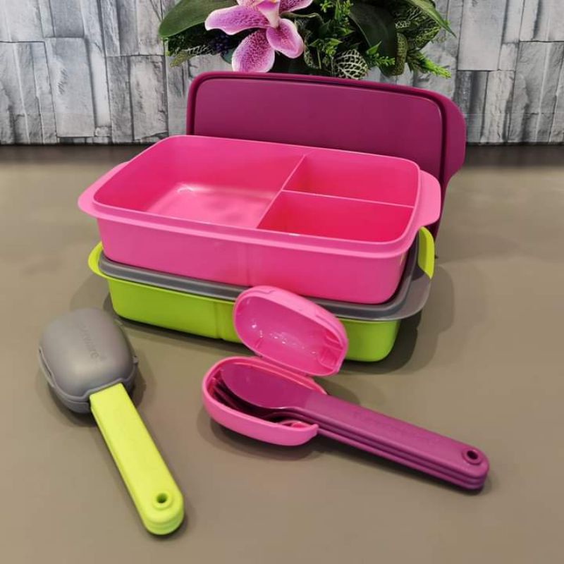 Tupperwarebrands divided lunch box & OTG cutlery set with case | Shopee ...