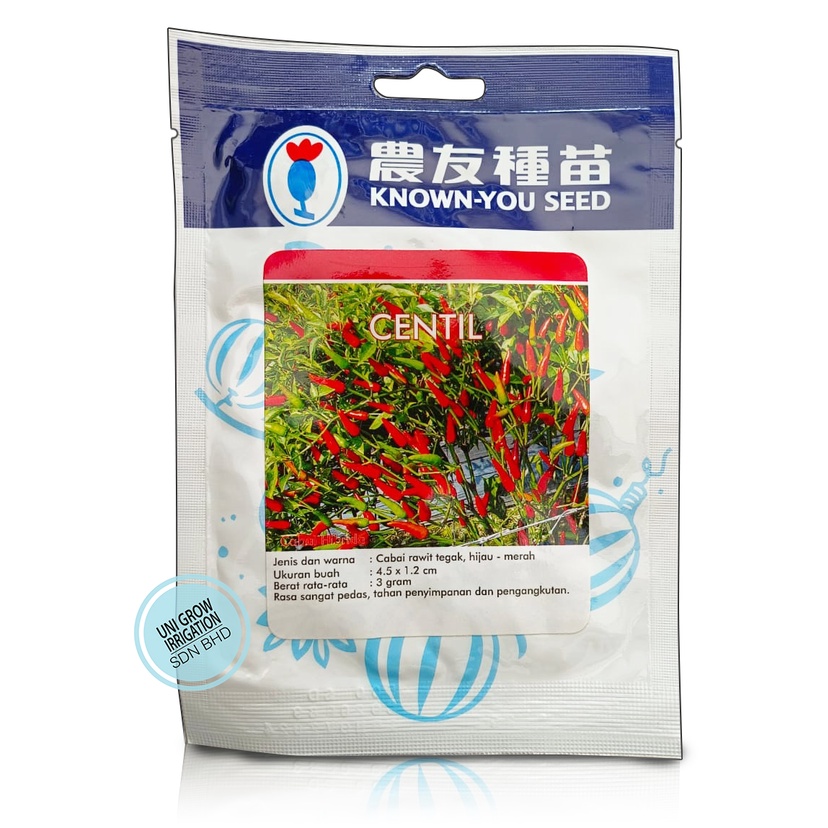 (500 Biji) Centil Cili Api Cili Padi Benih Known You Seed / Hot Pepper ...