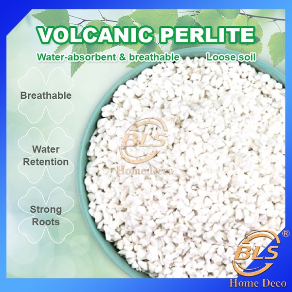 60 Liter 3-6mm Volcanic Perlite Natural Expanded Perlite Cactus ...