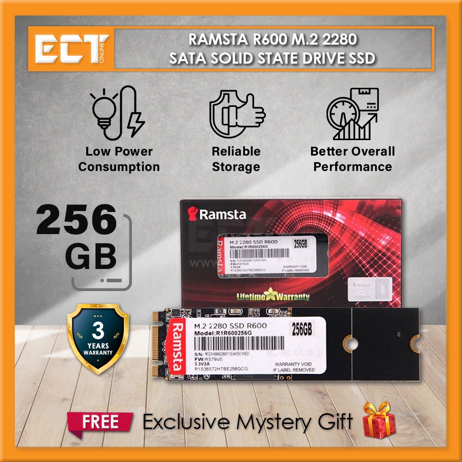 Ramsta R600 128GB 256GB 512GB 1TB M.2 2280 Sata Solid State Drive SSD ...