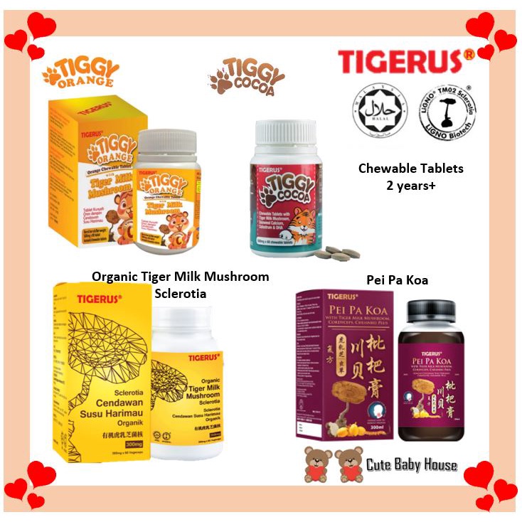TIGERUS® TIGGY Orange & Cocoa Chewable Tablets Kids Vitamin C / Organic ...