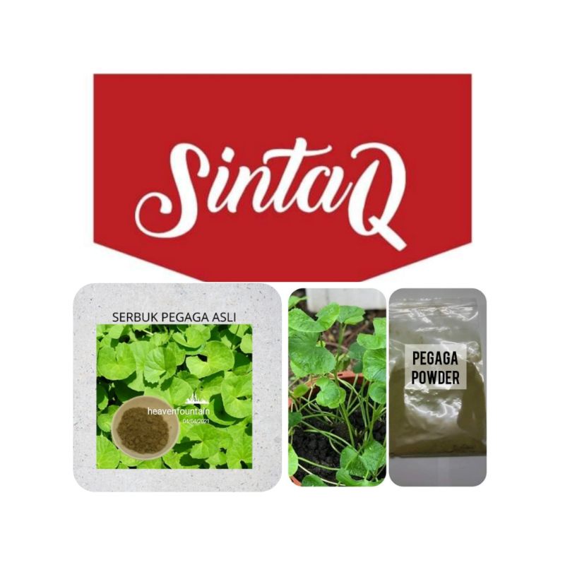 Serbuk daun pegaga tea size | Shopee Malaysia