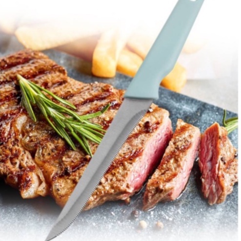 Stainless steel tooth knife fruit plastic handle western food fine ...