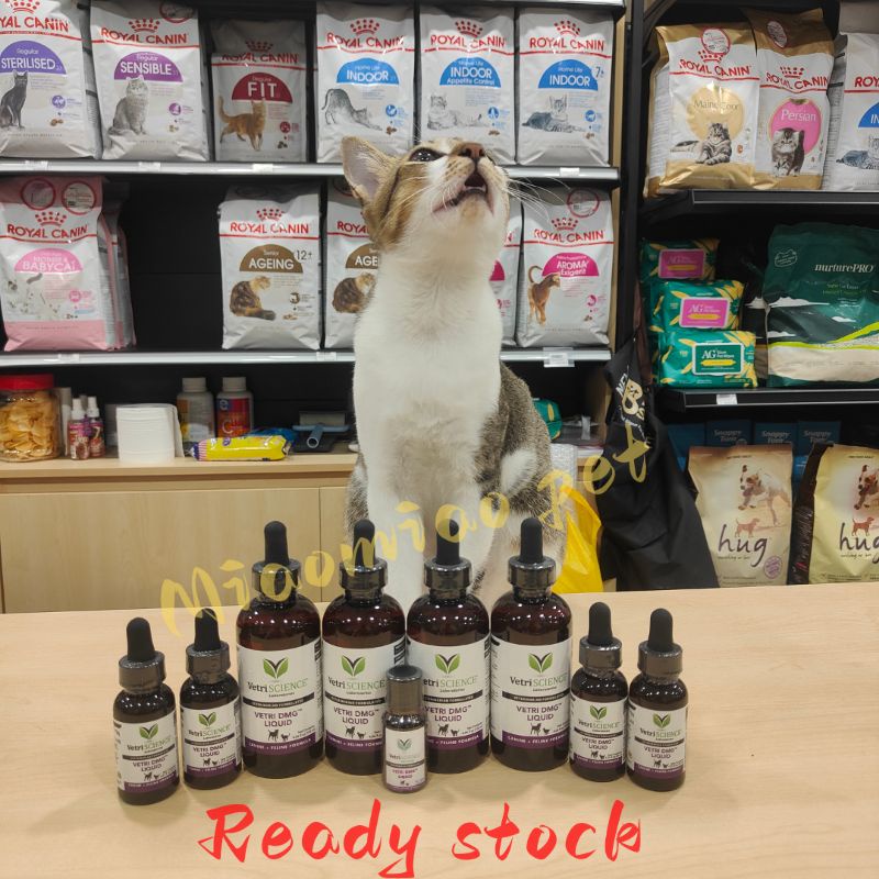 (100% ORIGINAL)VETRI DMG LIQUID FOR CAT AND DOG 10ml /30ml /120ml ...