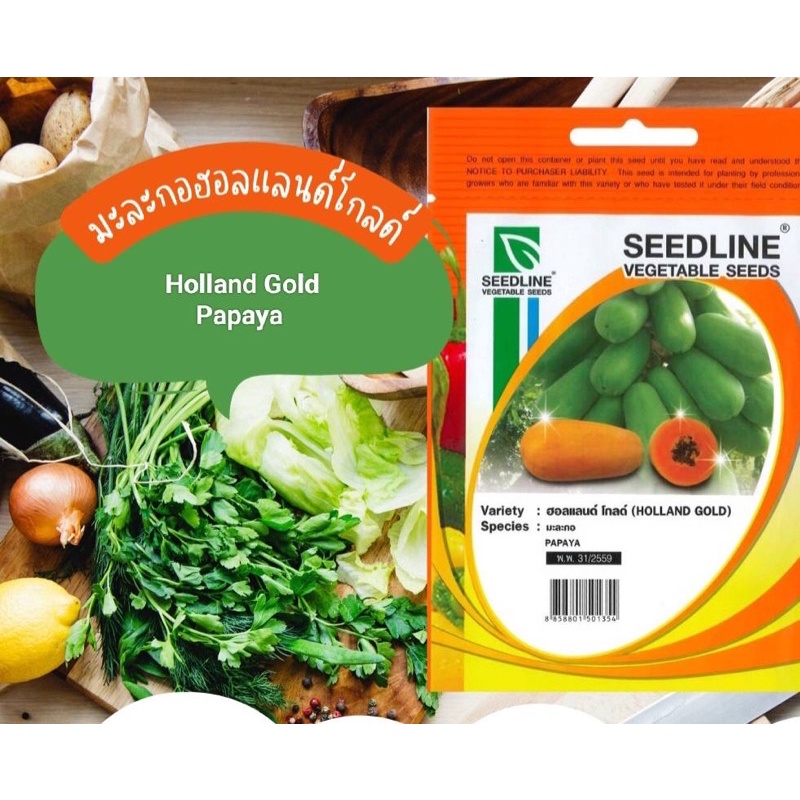 🌱Ready Stock 🌱Holland Gold Papaya Seeds / Benih Betik Holland Sekaki / เมล็ดมะละกอ ฮอลแลนด์โกลด์ ...