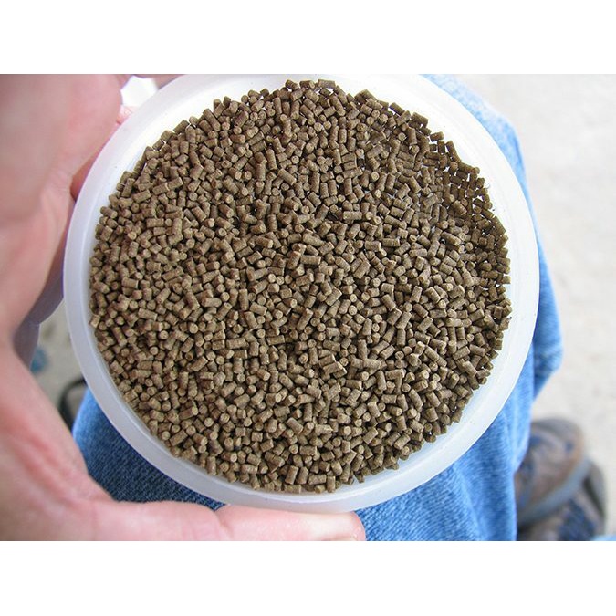 Nutrition: Fast Grow Pellet and Colour Booster for isopods and roaches ...