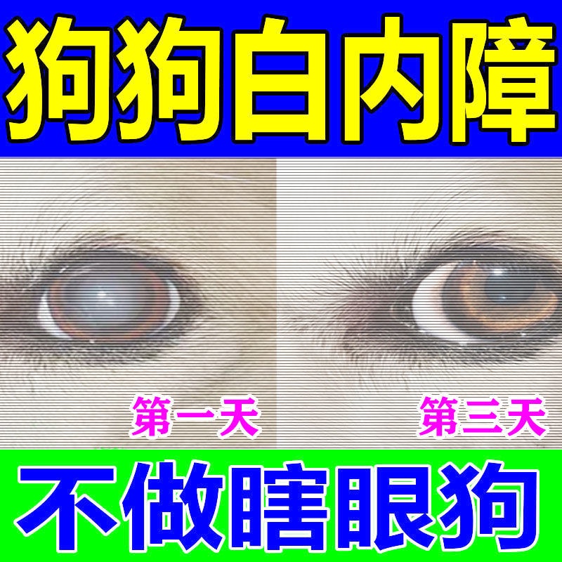 Pet Dog Cataract Eye Drops Dog Eye Drops Middle aged and eld宠物狗白内障滴眼液狗狗 ...