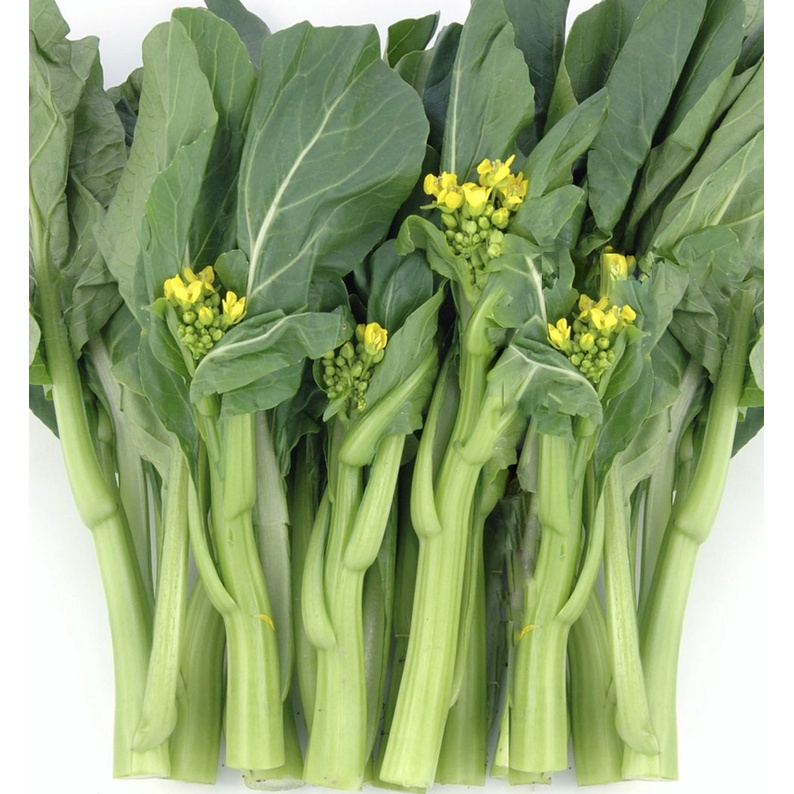 100Pcs Biji Benih Sayur Sawi Bunga Manis choy sum | Shopee Malaysia