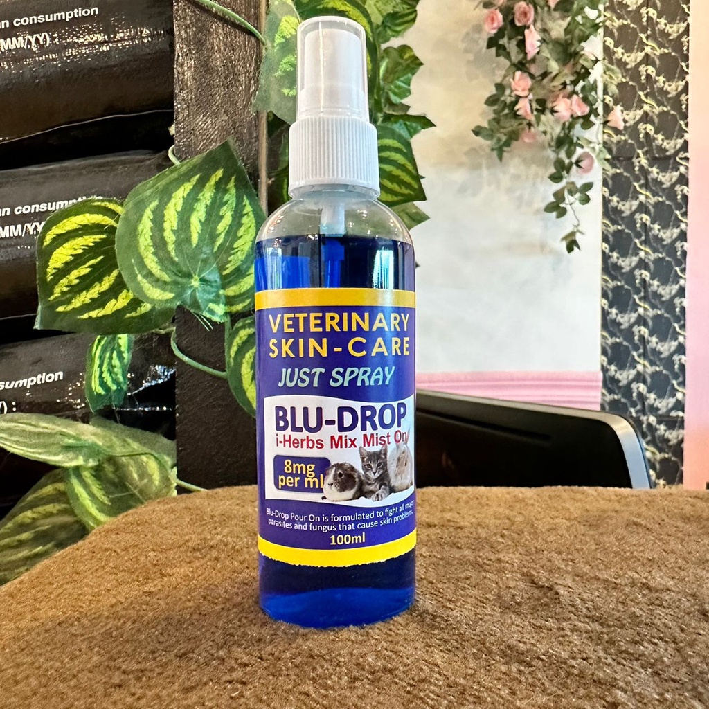Blu-Drop Spray 100ml for Fungus Infection Ubat titis bagi hilangkan ...