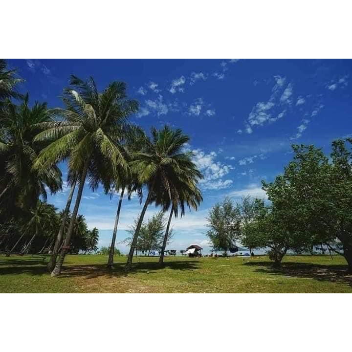 perkhidmatan sewa bot berserta pemandu ke pulau song song, yan, kedah ...