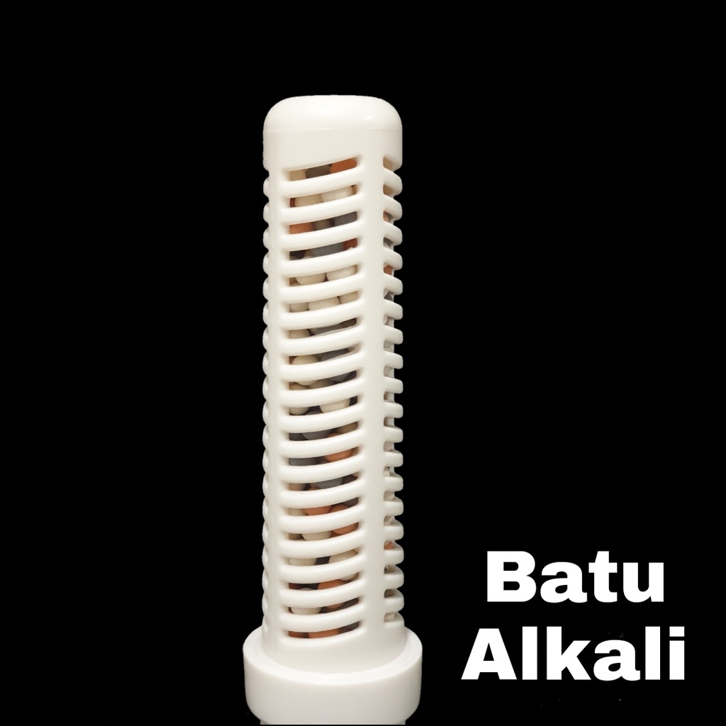 Trifinity Alkaline Stone Installed in a Bottle Converts Ordinary Water ...