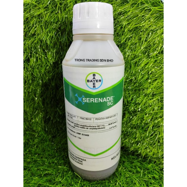 SERENADE SC 1L BAYER 活性枯草芽孢杆菌VAR解淀粉 BACILLUS SUBTILIS VAR ...