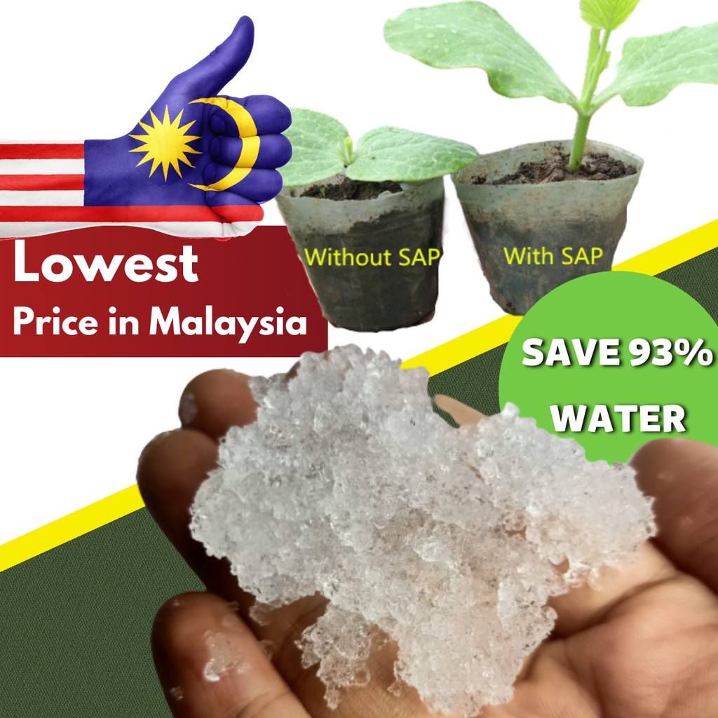 (200g /500g) Plant Water Retention Gel | Gel Penyimpanan Air | Plant ...