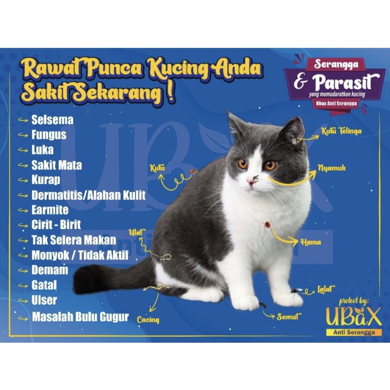 🔥HOT SELLING🔥 ubax kucing spray fungus kutu sakit mata Ubax anti ...