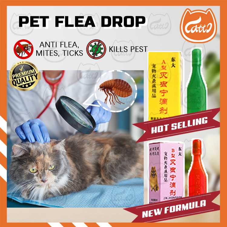 CATTO Ubat Kutu Kucing Anjing, Flea Drop For Cat Dog Ubat Kutu Telinga ...