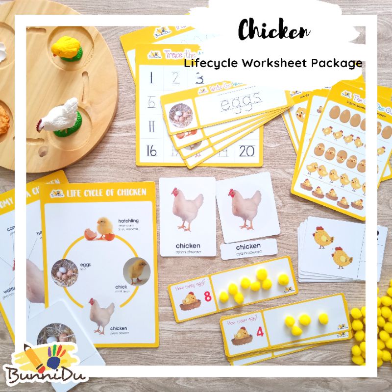 Chicken Life Cycle | Chicken Life Cycle | Montessori Culture WITHOUT ...