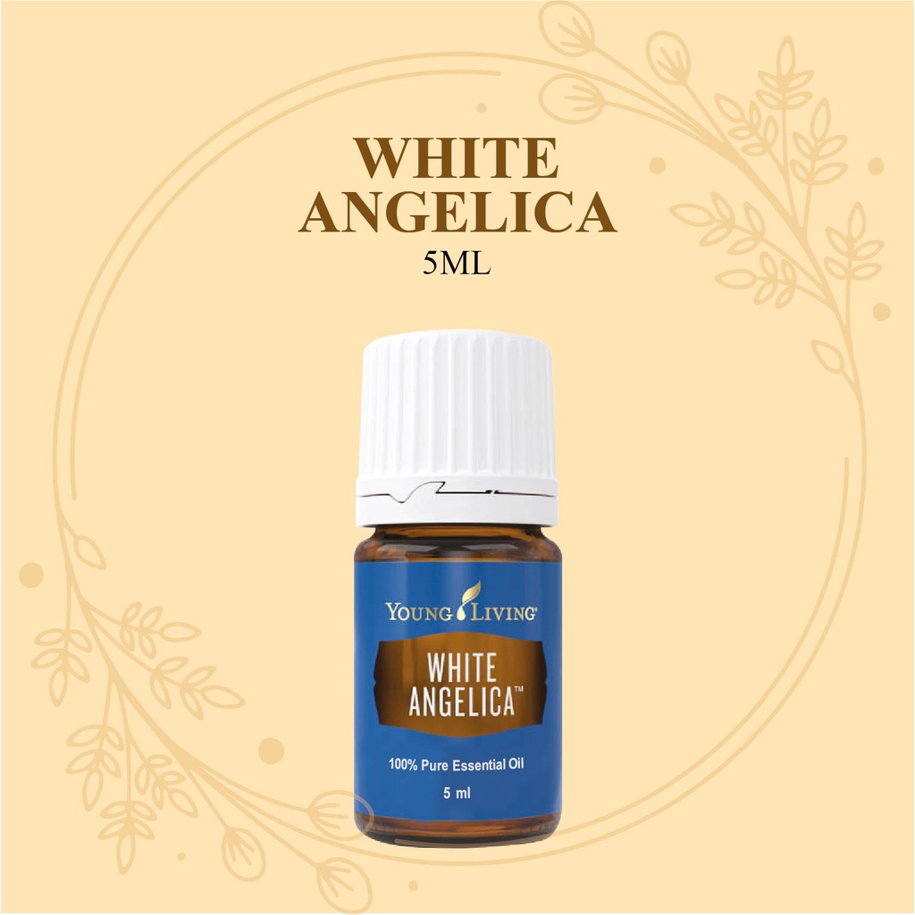 ORIGINAL Young-Livings White Angelica Essential Oil 5ml (READY STOCK) | Shopee Malaysia
