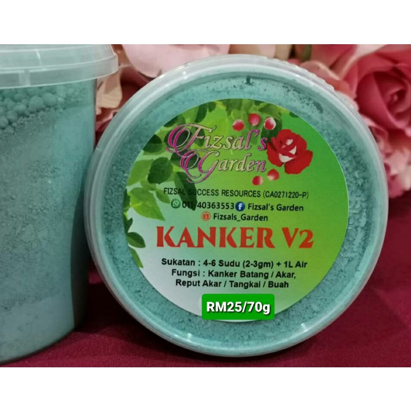 KANKER V2 (buruk/reput) - batang hitam, lebam, buruk, reput, bintik ...