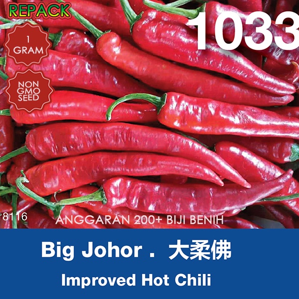 200+ (1 GRAM) BIJI BENIH CILI LADA MERAH BESAR BIG JOHOR 1033 | Shopee ...