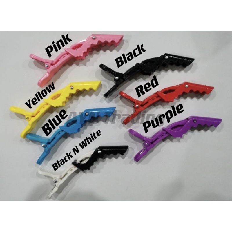 Long Sharp Hair Clip 1pcs | Shopee Malaysia