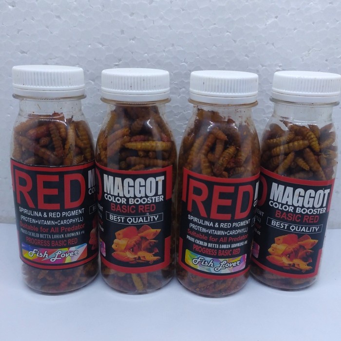 Dried Maggot Red Color Booster Proven Effective for Channa Fish, Etc ...