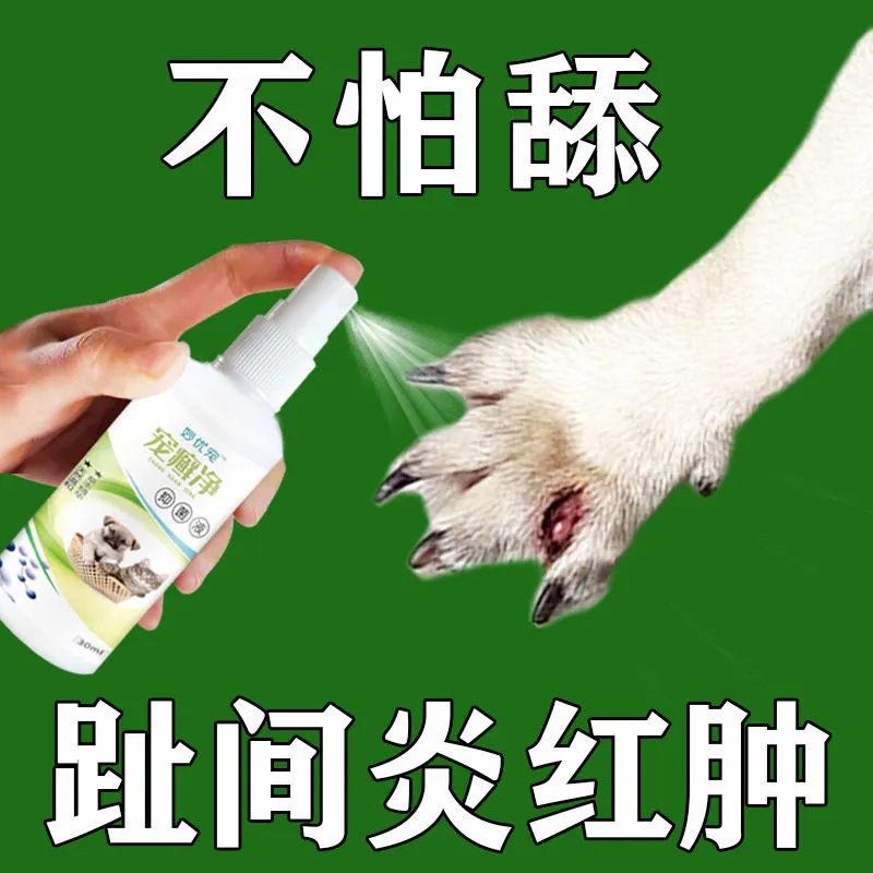 Pet licking is also safe Dogs interdigital toe infection special ...