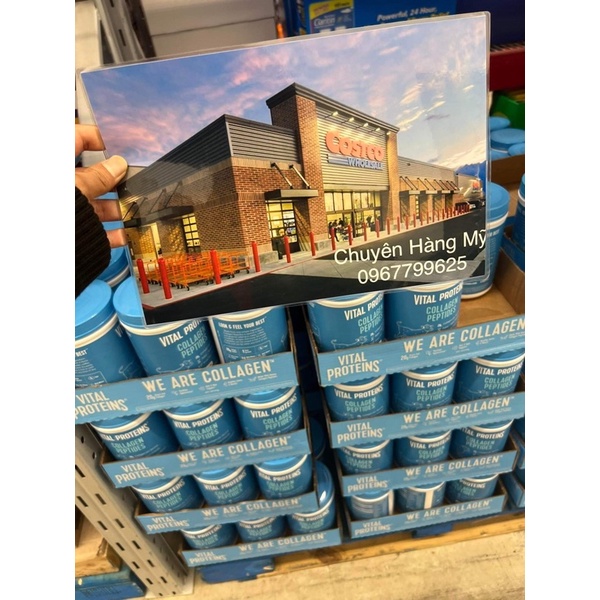 American Collagen Vital Proteins Collagen Peptides Powder 680g | Shopee ...