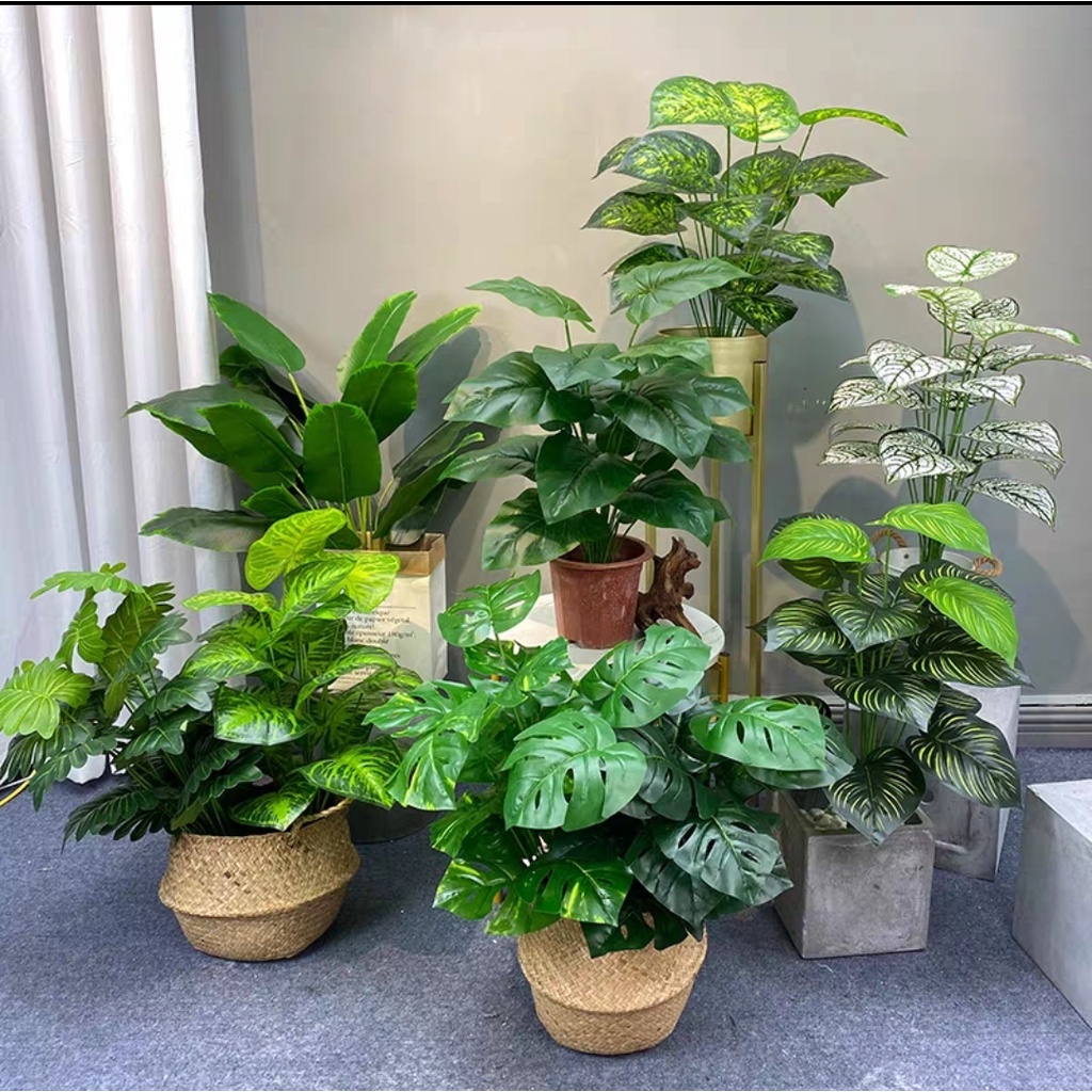 Premium Pokok Hiasan Viral/65cm/Artificial/18pcs Leaf/Pokok Monstera ...