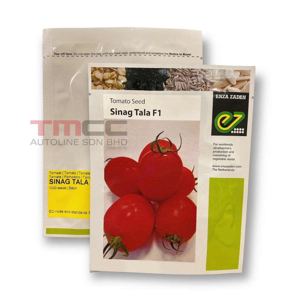 Enza Zaden - SINAG TALA F1 - Tomato Seed (Plum Tomato) - REPACK ...