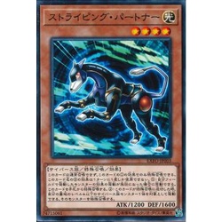 Extreme Force EXFO-JP003 "Striping Partner" (Common) | Shopee Malaysia