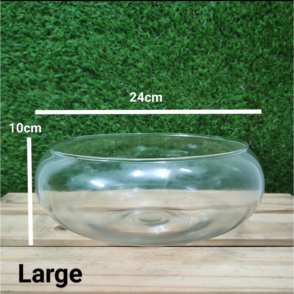 GPS Green Plant Society GPOT High Quality Flat Shallow Wide Mouth Glass ...