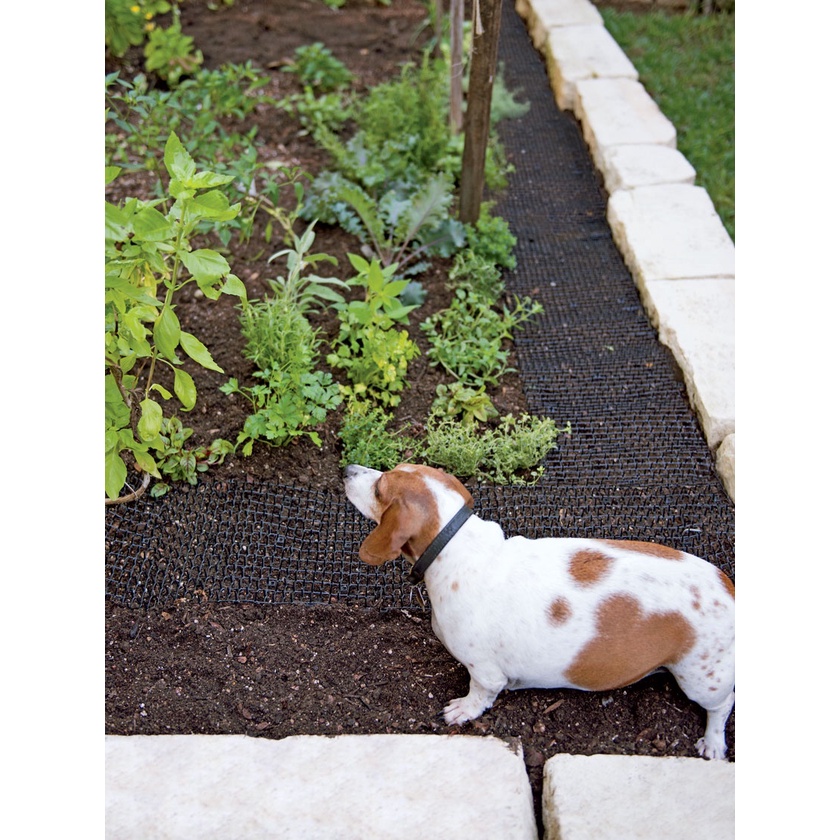 (Ready Stock)Animal Repel Mat Spike Scat Anti Climb Fence Wall Cat Dog ...