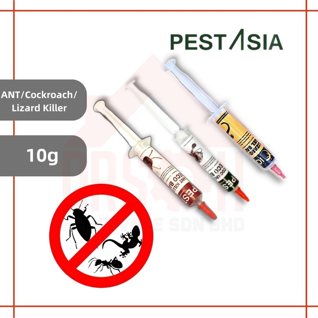 10G PEST ASIA KILLING ECO BAIT ANT/COCKROACH KILLING ECO BAIT/ LIZARD GEL BAIT | Shopee Malaysia
